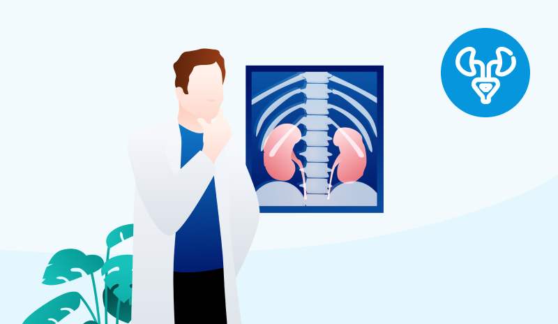 Harnwegsinfektion: Symptome und Behandlung | Doctolib