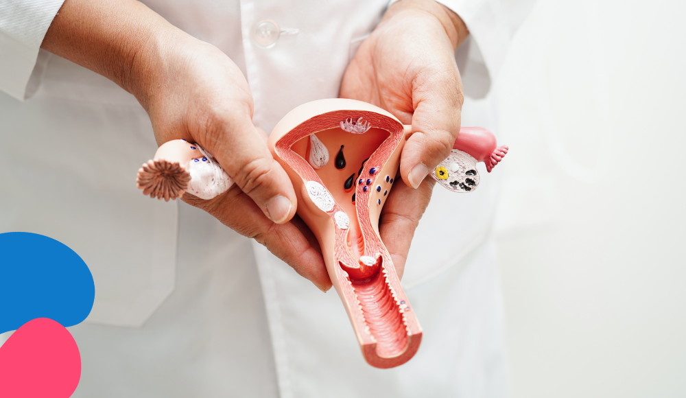 Utero bicorne: sintomi, cause, cure - Doctolib