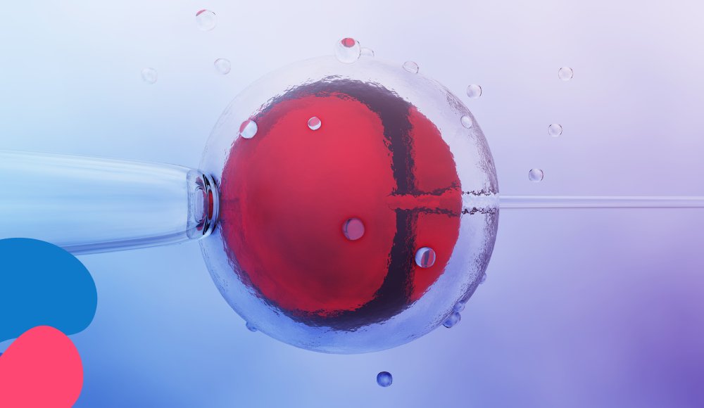 Fecondazione in vitro: come funziona, rischi